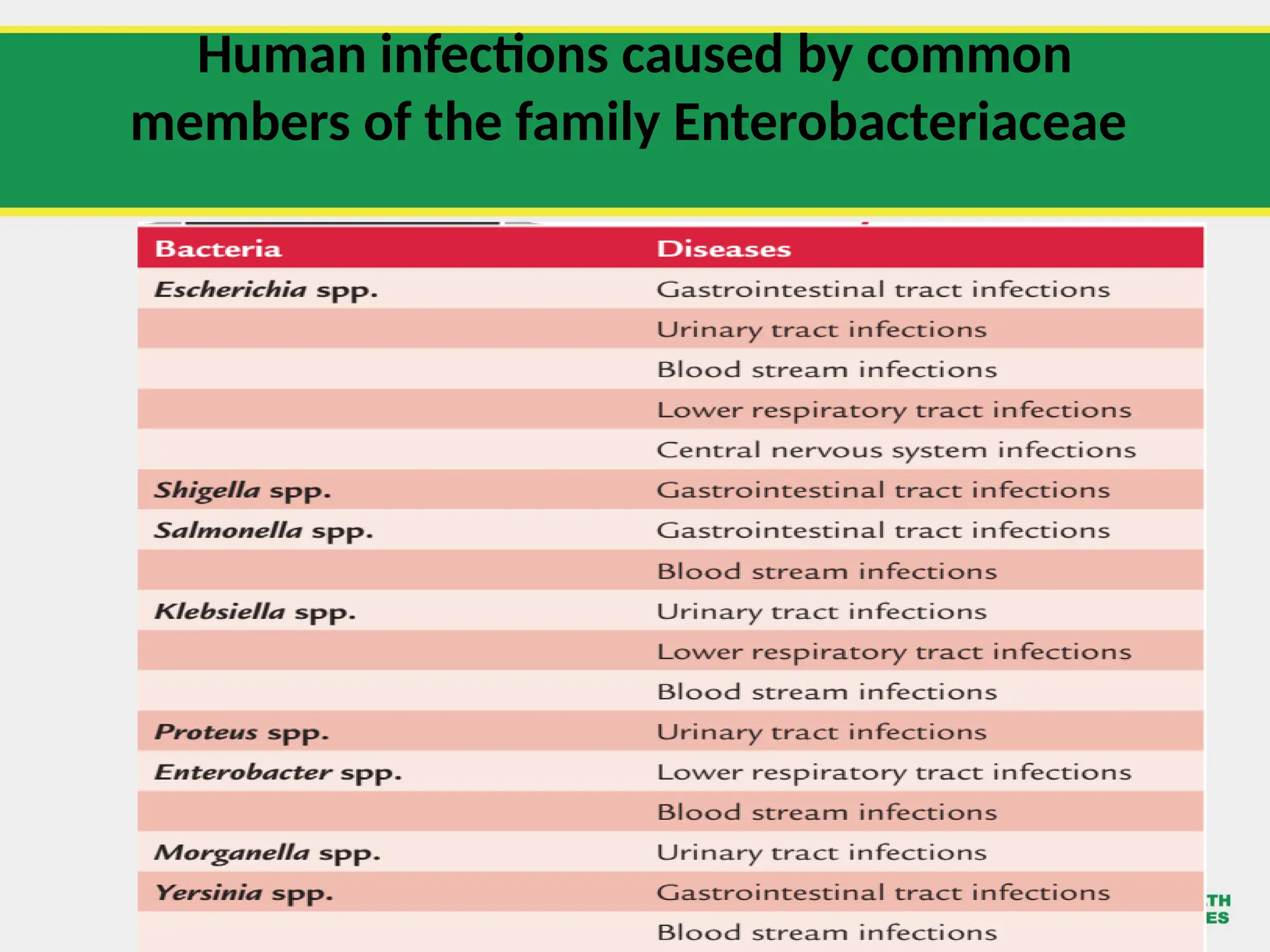 ENTEROBACTERIACEAE.pptx uhas slides on enterobacteriae | PPTX ...