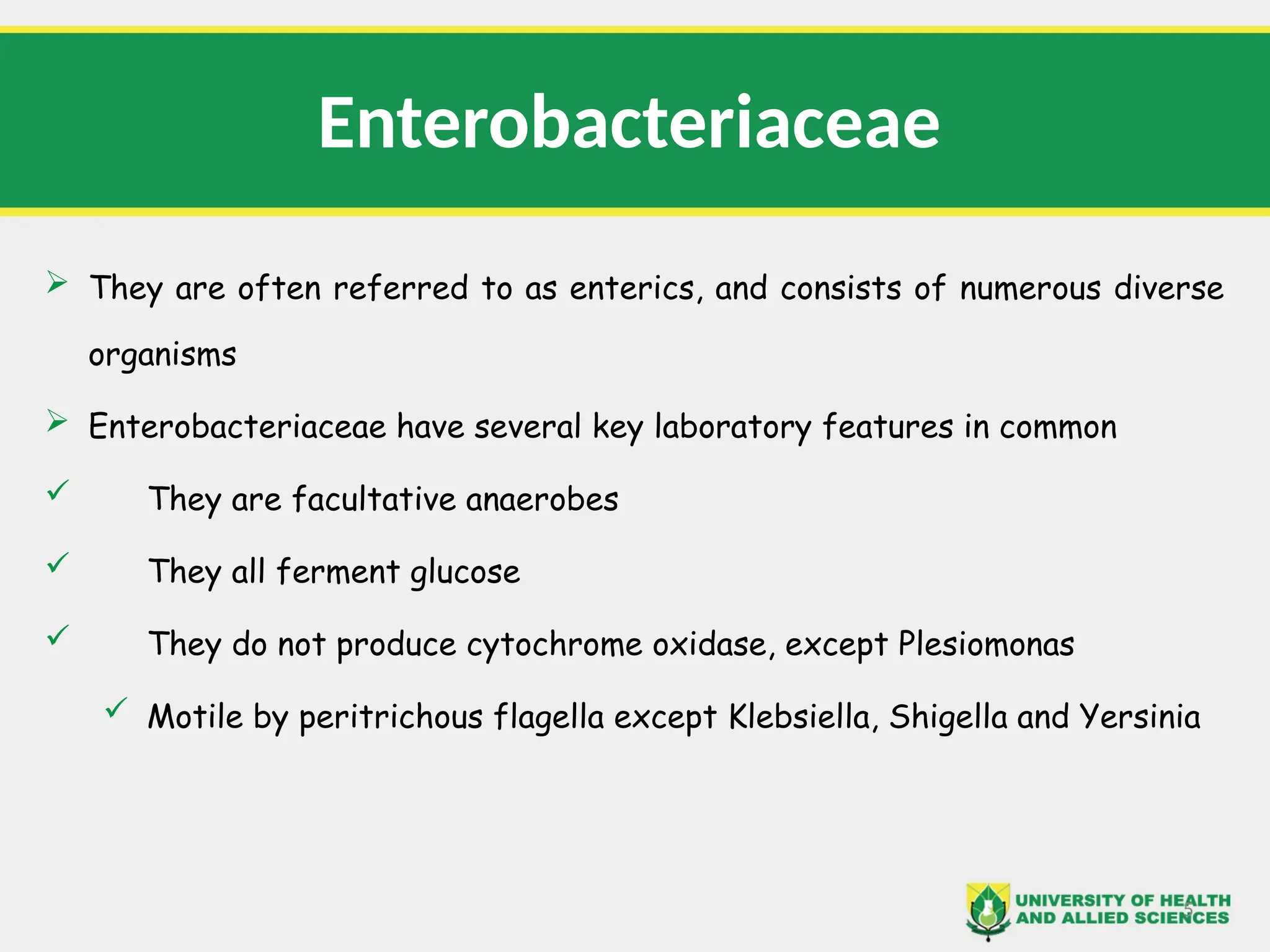 ENTEROBACTERIACEAE.pptx uhas slides on enterobacteriae | PPTX ...
