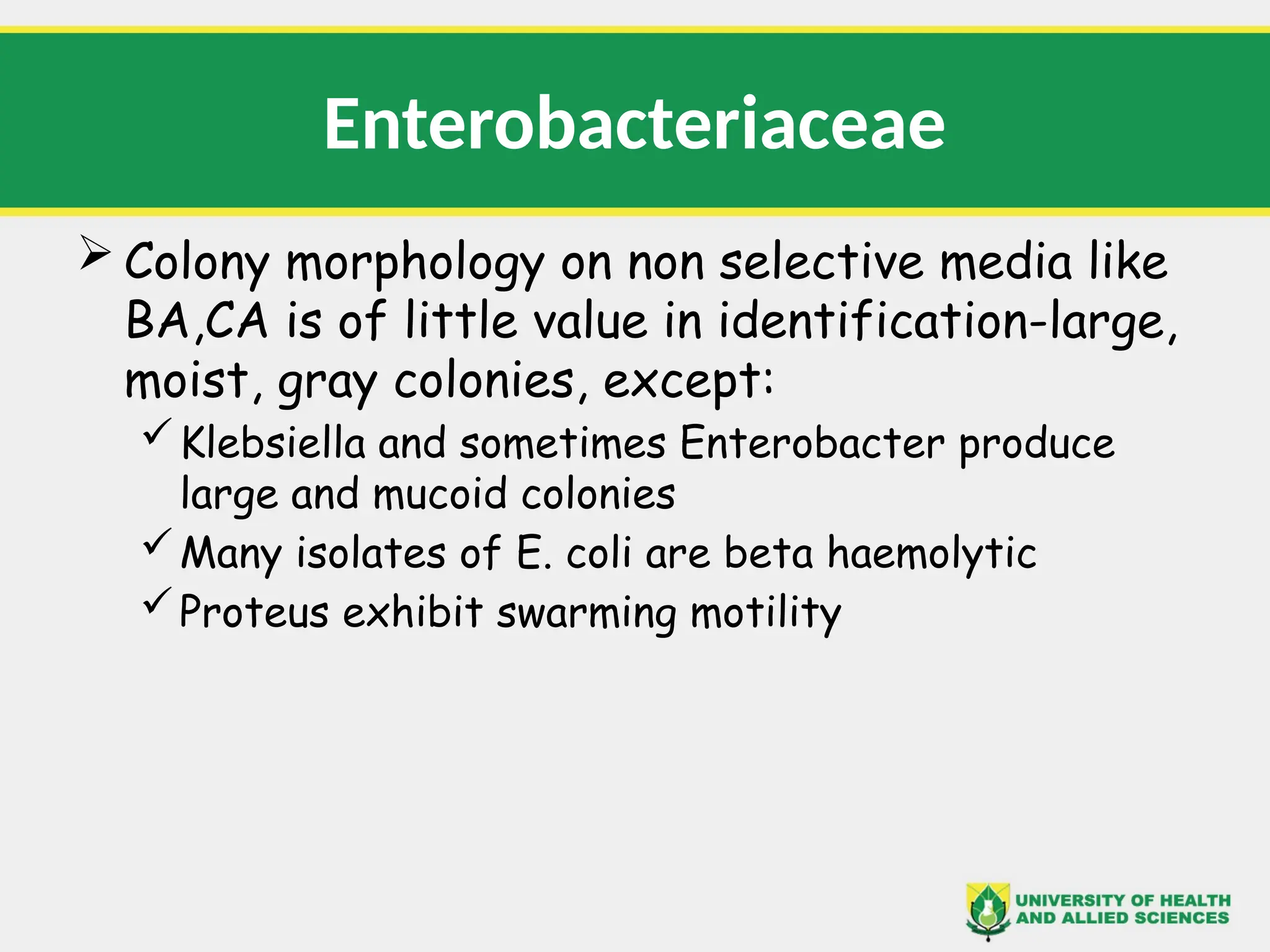 ENTEROBACTERIACEAE.pptx uhas slides on enterobacteriae | PPTX ...
