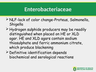 ENTEROBACTERIACEAE.pptx uhas slides on enterobacteriae | PPTX ...