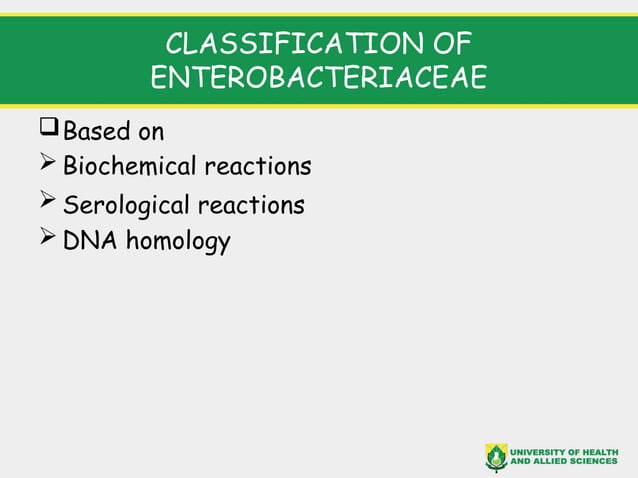 ENTEROBACTERIACEAE.pptx uhas slides on enterobacteriae | PPTX ...