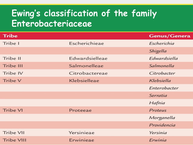 ENTEROBACTERIACEAE.pptx uhas slides on enterobacteriae | PPTX ...