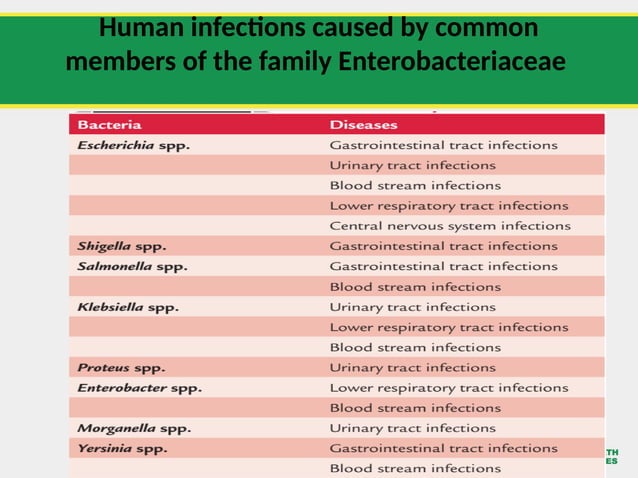 ENTEROBACTERIACEAE.pptx uhas slides on enterobacteriae | PPTX ...