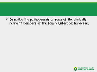 ENTEROBACTERIACEAE.pptx uhas slides on enterobacteriae | PPTX ...