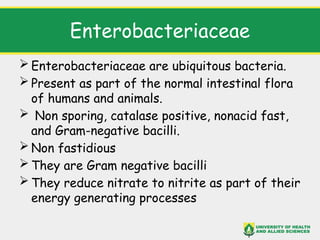 ENTEROBACTERIACEAE.pptx uhas slides on enterobacteriae | PPTX ...
