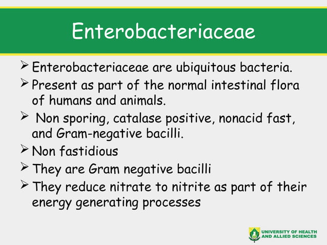 ENTEROBACTERIACEAE.pptx uhas slides on enterobacteriae | PPTX ...
