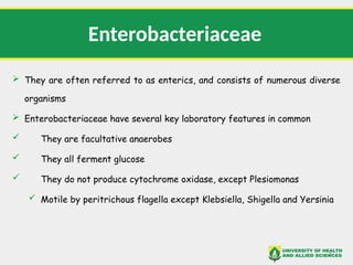 ENTEROBACTERIACEAE.pptx uhas slides on enterobacteriae | PPTX ...