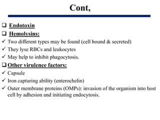 Enterobacteriaceae related types of bacteria that cause disease in ...