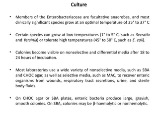 Medical Microbiology Enterobacteriaceae.pptx