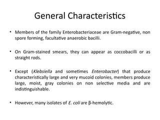 Medical Microbiology Enterobacteriaceae.pptx
