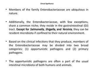 Medical Microbiology Enterobacteriaceae.pptx