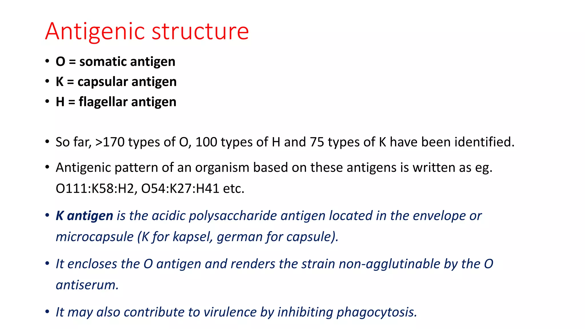 Enterobacteriaceae i | PDF