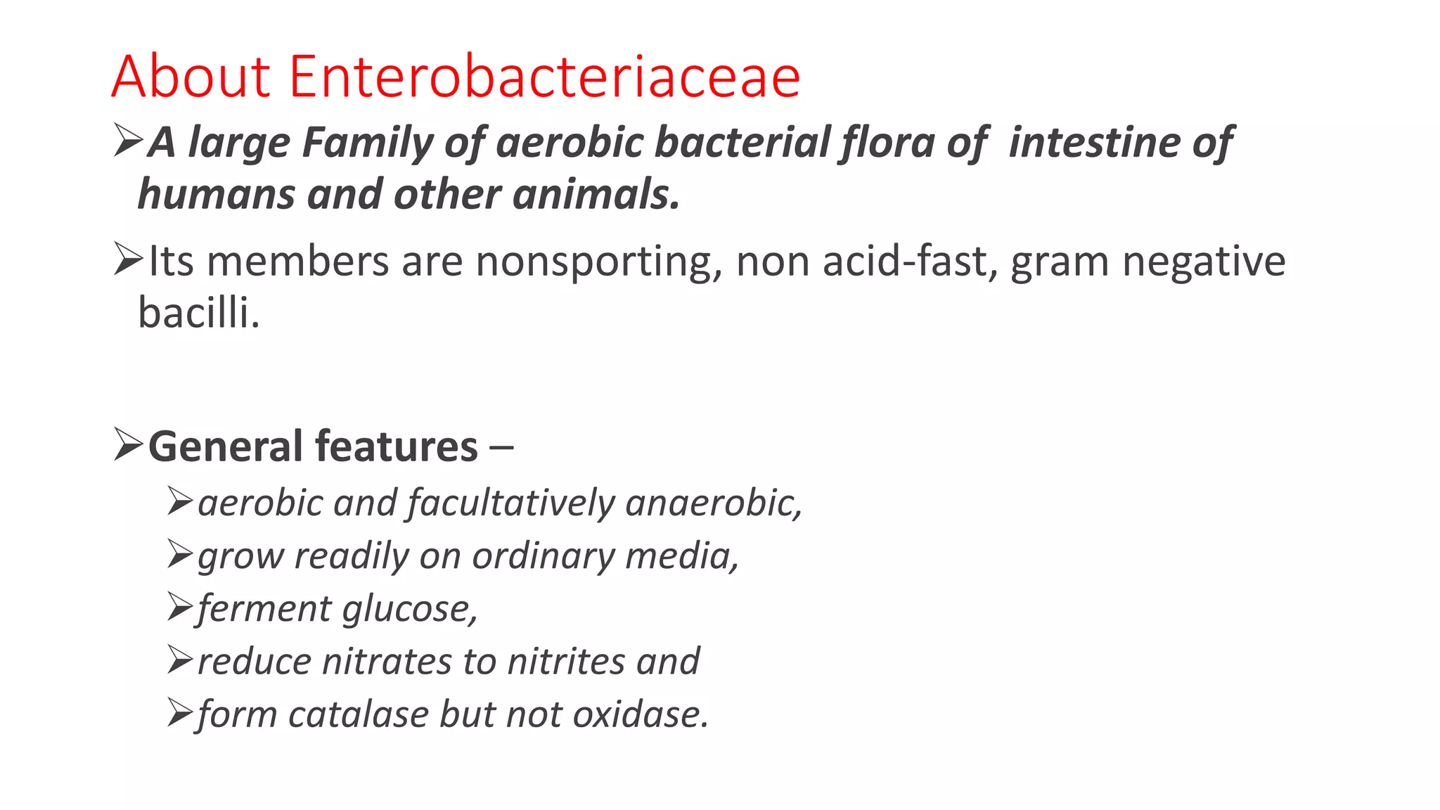 Enterobacteriaceae i | PDF