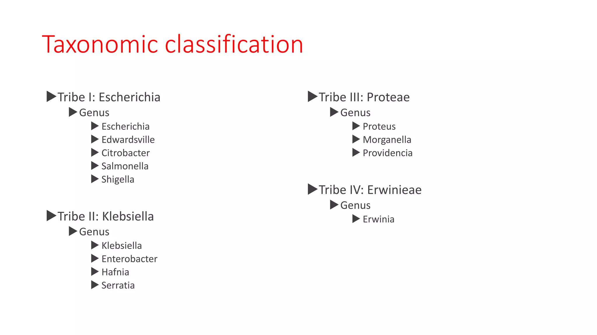Enterobacteriaceae i | PDF