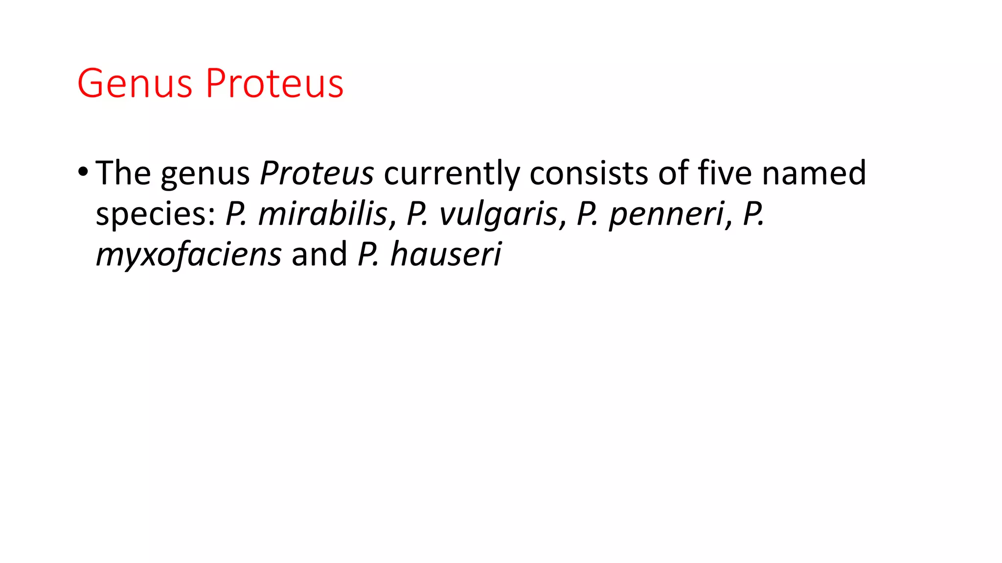Enterobacteriaceae i | PDF