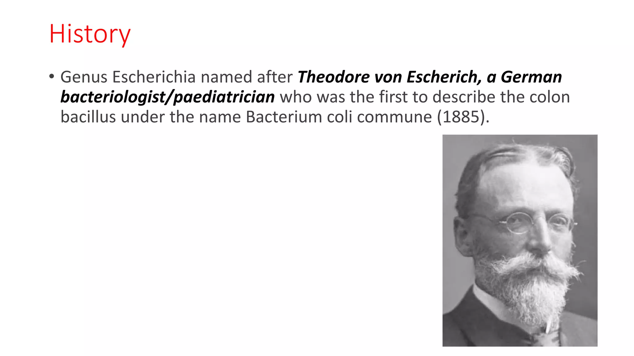 Enterobacteriaceae i | PDF