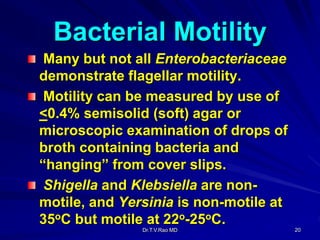 Enterobacteriaceae dr.ihsan alsaimary | PPTX | Infectious Diseases ...