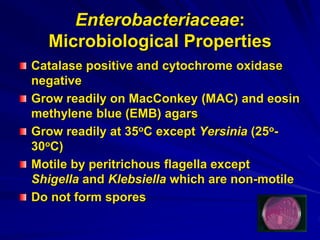 Enterobacteriaceae dr.ihsan alsaimary | PPTX | Infectious Diseases ...