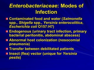Enterobacteriaceae dr.ihsan alsaimary | PPTX | Infectious Diseases ...
