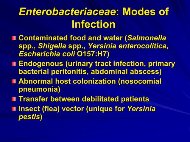 Enterobacteriaceae dr.ihsan alsaimary | PPT
