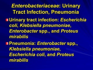 Enterobacteriaceae dr.ihsan alsaimary | PPTX | Infectious Diseases ...
