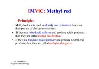 Enterobacteriacea i biochemical reaction بكتريا عملي | PDF