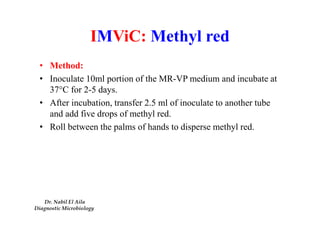 Enterobacteriacea i biochemical reaction بكتريا عملي | PDF