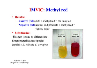 Enterobacteriacea i biochemical reaction بكتريا عملي | PDF