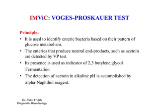 Enterobacteriacea i biochemical reaction بكتريا عملي | PDF