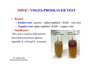 Enterobacteriacea i biochemical reaction بكتريا عملي | PDF