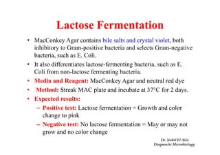 Enterobacteriacea i biochemical reaction بكتريا عملي | PDF