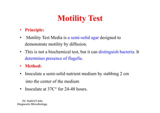 Enterobacteriacea i biochemical reaction بكتريا عملي | PDF