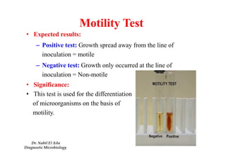 Enterobacteriacea i biochemical reaction بكتريا عملي | PDF