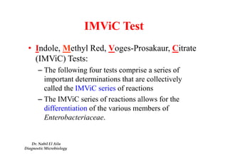 Enterobacteriacea i biochemical reaction بكتريا عملي | PDF