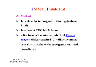 Enterobacteriacea i biochemical reaction بكتريا عملي | PDF