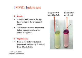 Enterobacteriacea i biochemical reaction بكتريا عملي | PDF