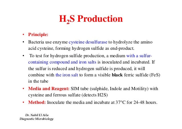 Enterobacteriacea i biochemical reaction بكتريا عملي