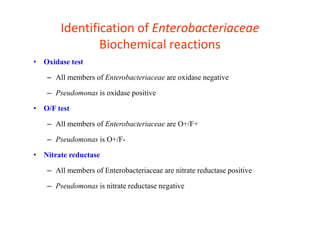 Enterobacteriacea ii biochemical reaction 2بكتريا عملي | PDF
