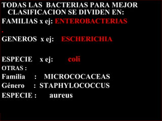Enterobacterias | PPT