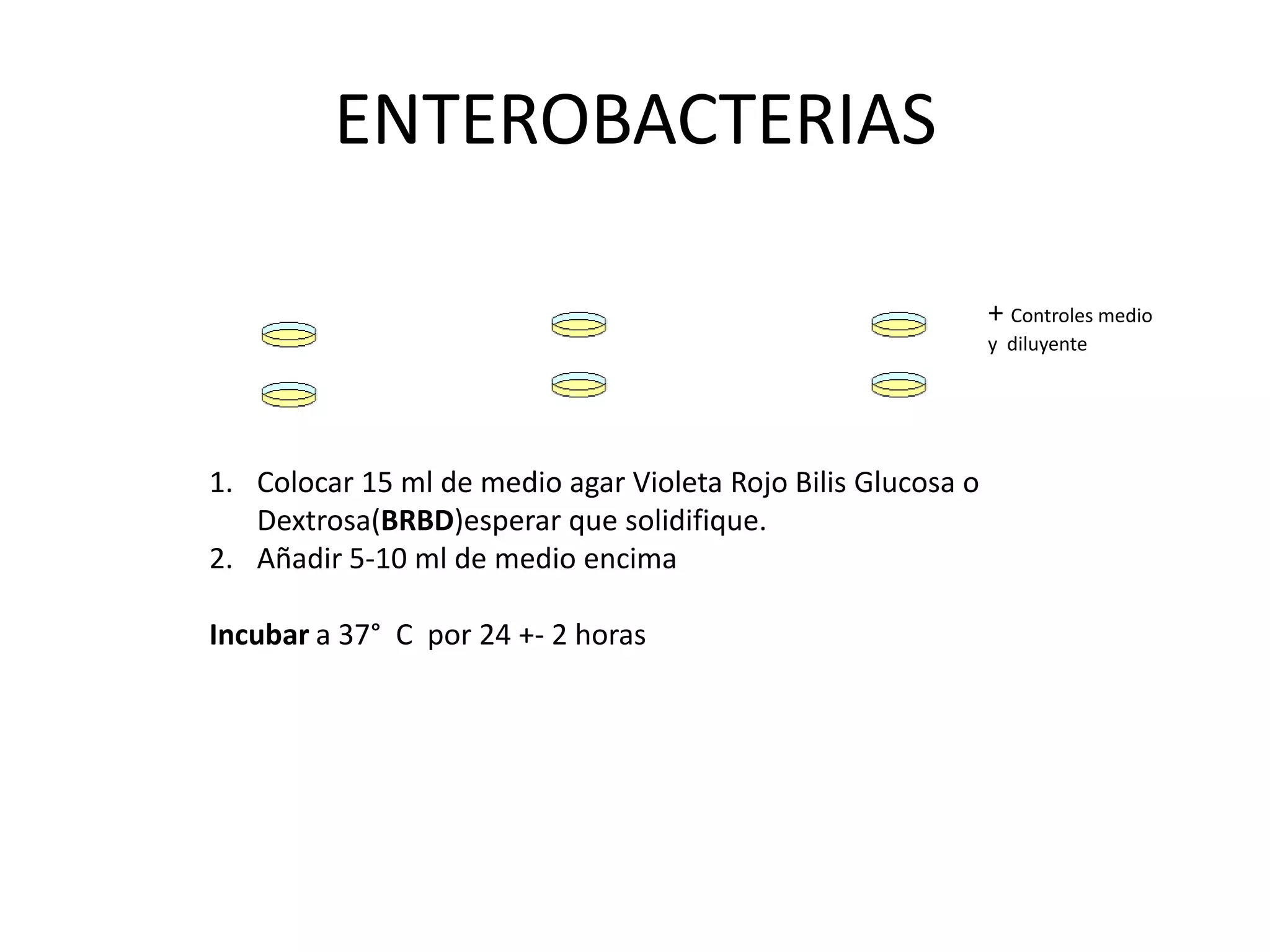Enterobacterias | PPT