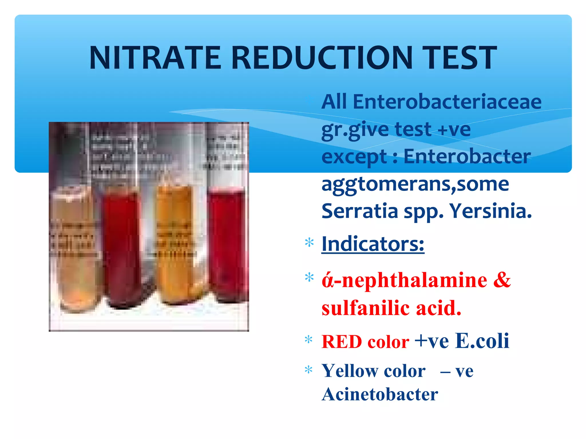Enterobacteriasese seminar | PPT | Chemistry | Science