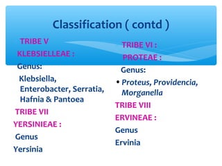 Enterobacteriasese seminar | PPT