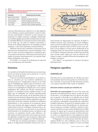 Enterobacterias | PDF