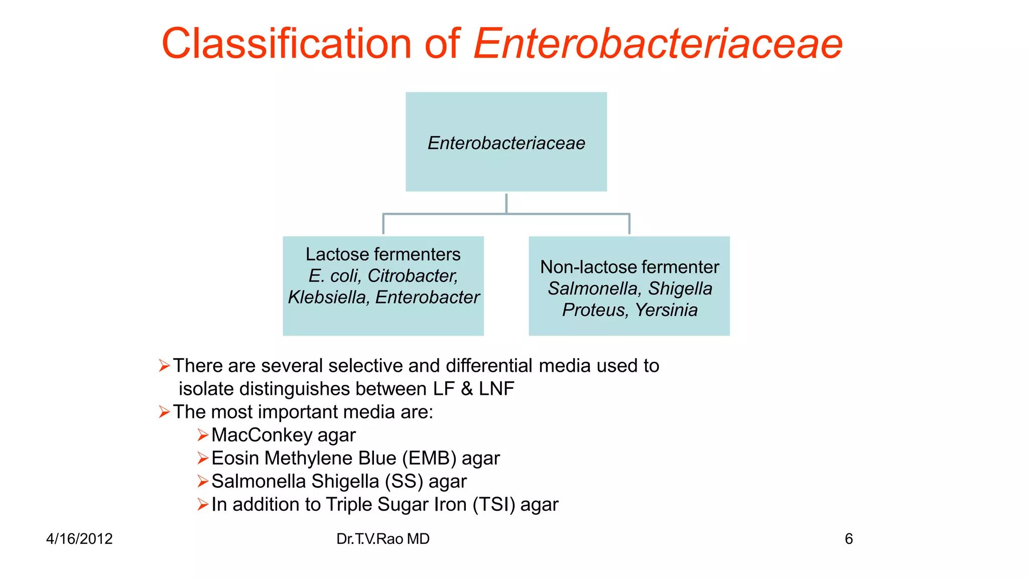 enterobactericeae.pptx