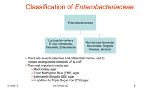 enterobactericeae.pptx