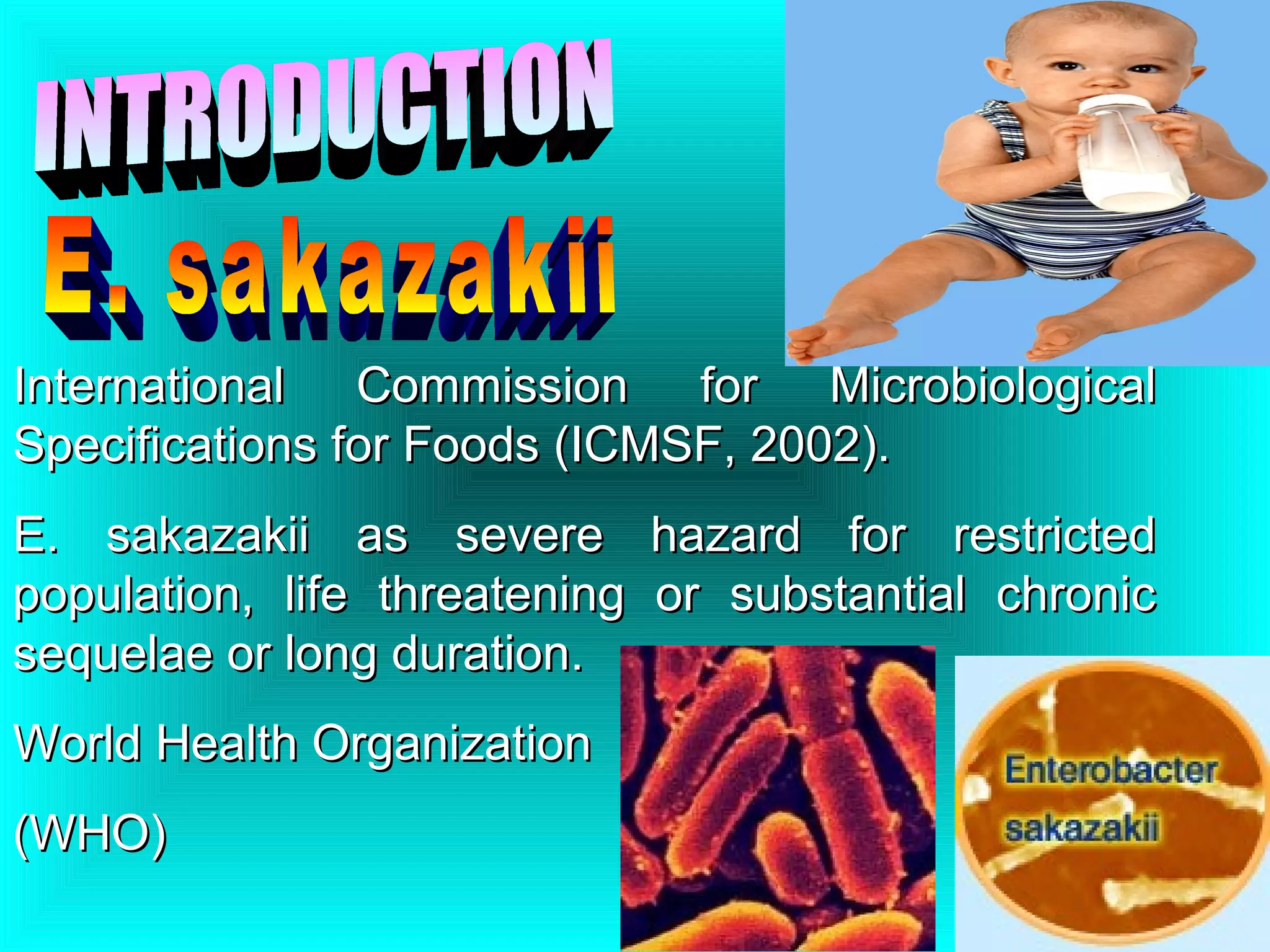 Enterobacter sakazakii | PPT