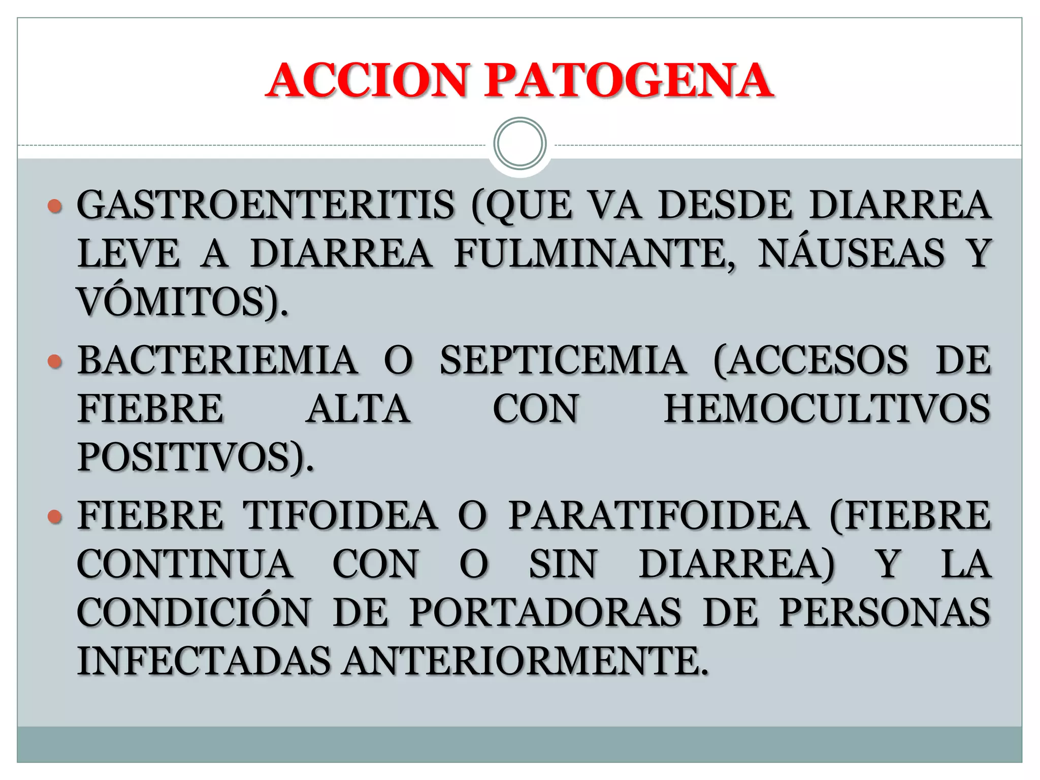 Enterobacter, serratia, salmonella, klebsiella, shigella y proteus ...