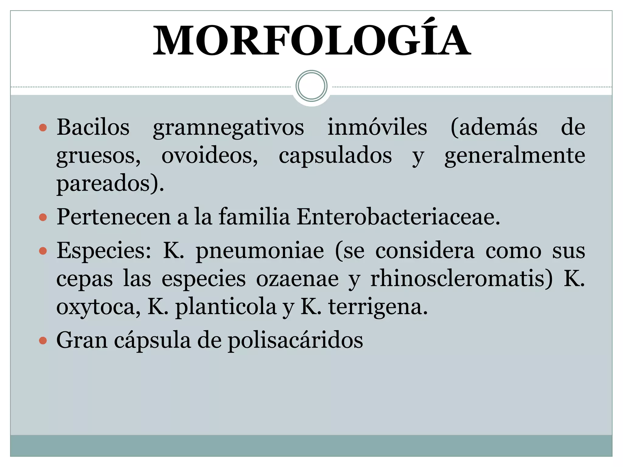 Enterobacter, serratia, salmonella, klebsiella, shigella y proteus ...