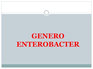 Enterobacter, serratia, salmonella, klebsiella, shigella y proteus | PPTX