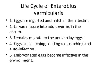 Enterobiasis_Presentation_Final.pptx download | PPTX